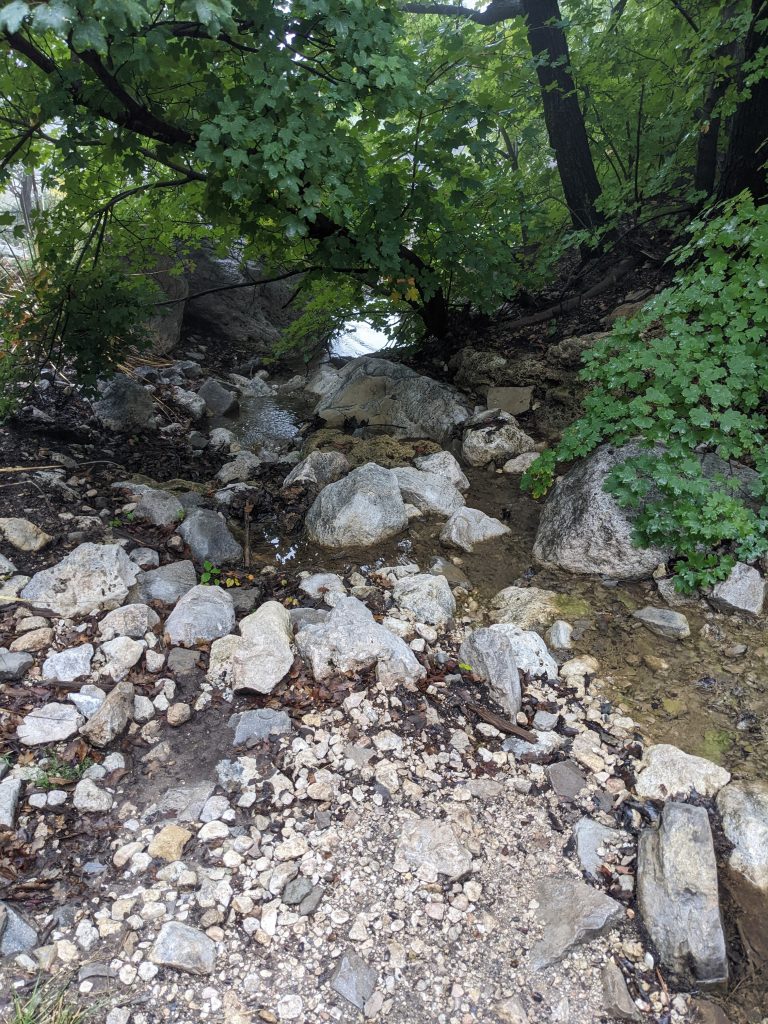 Smith Spring Trail: A Hidden Gem in the Guadalupe Mountains - This ...