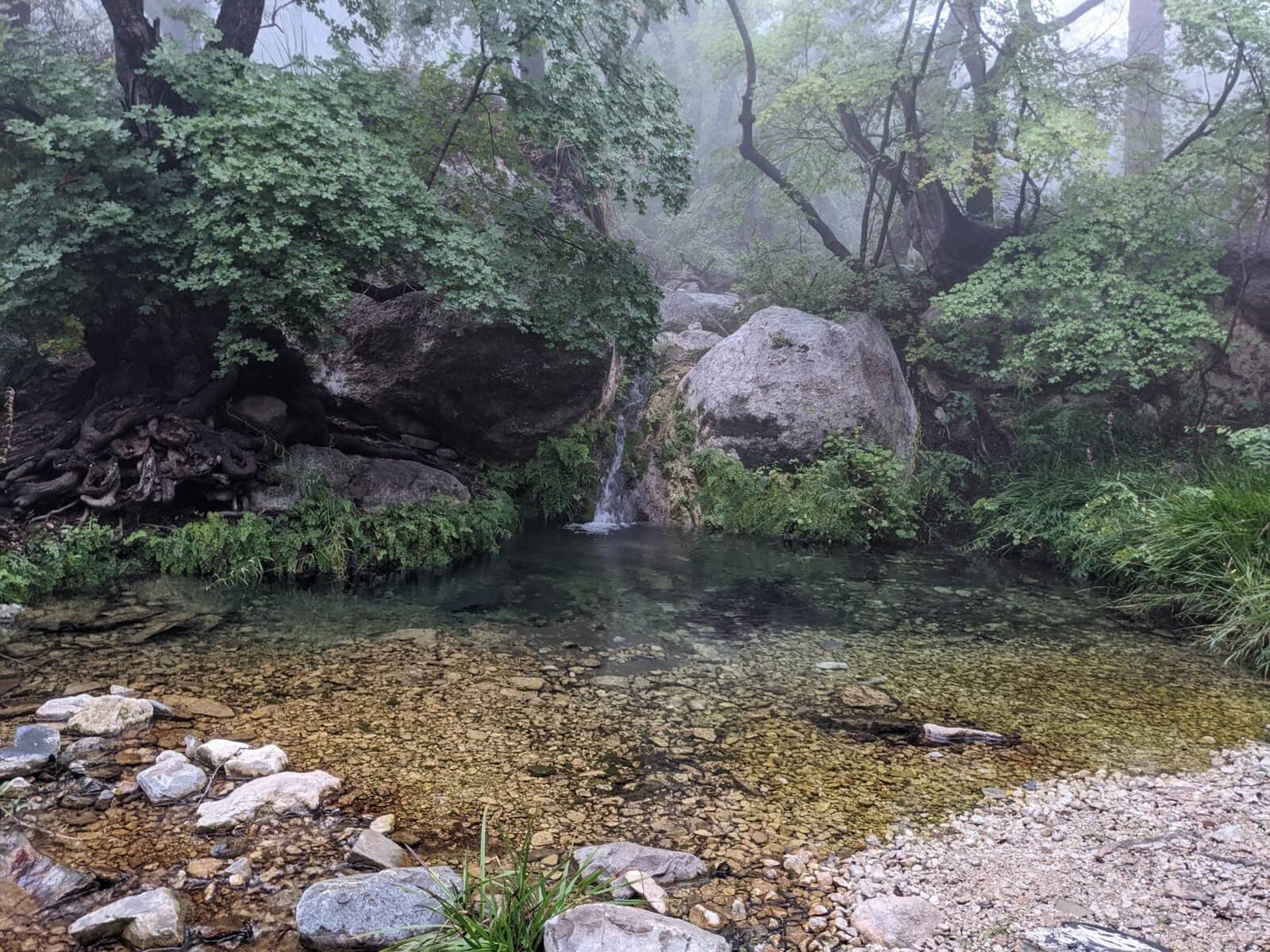 Smith Spring Trail: A Hidden Gem in the Guadalupe Mountains - This ...