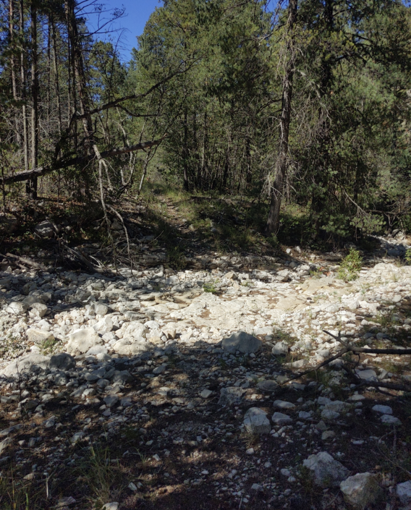 Tejas Trail: Thru Hiking the Guadalupe Mountains - This Fucking Trail