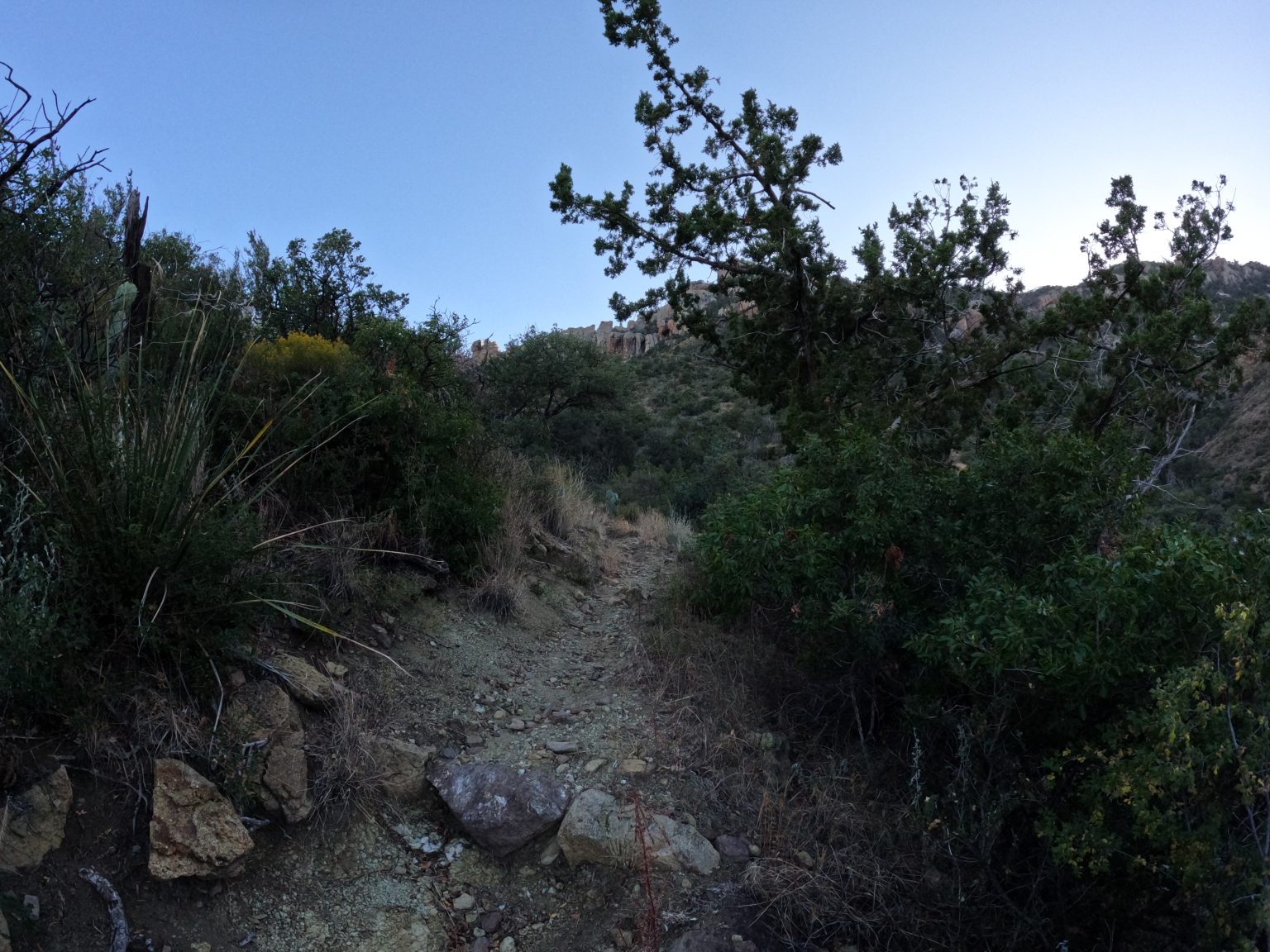 Juniper Canyon Trail: Remote and Rewarding Hiking in Big Bend - This ...