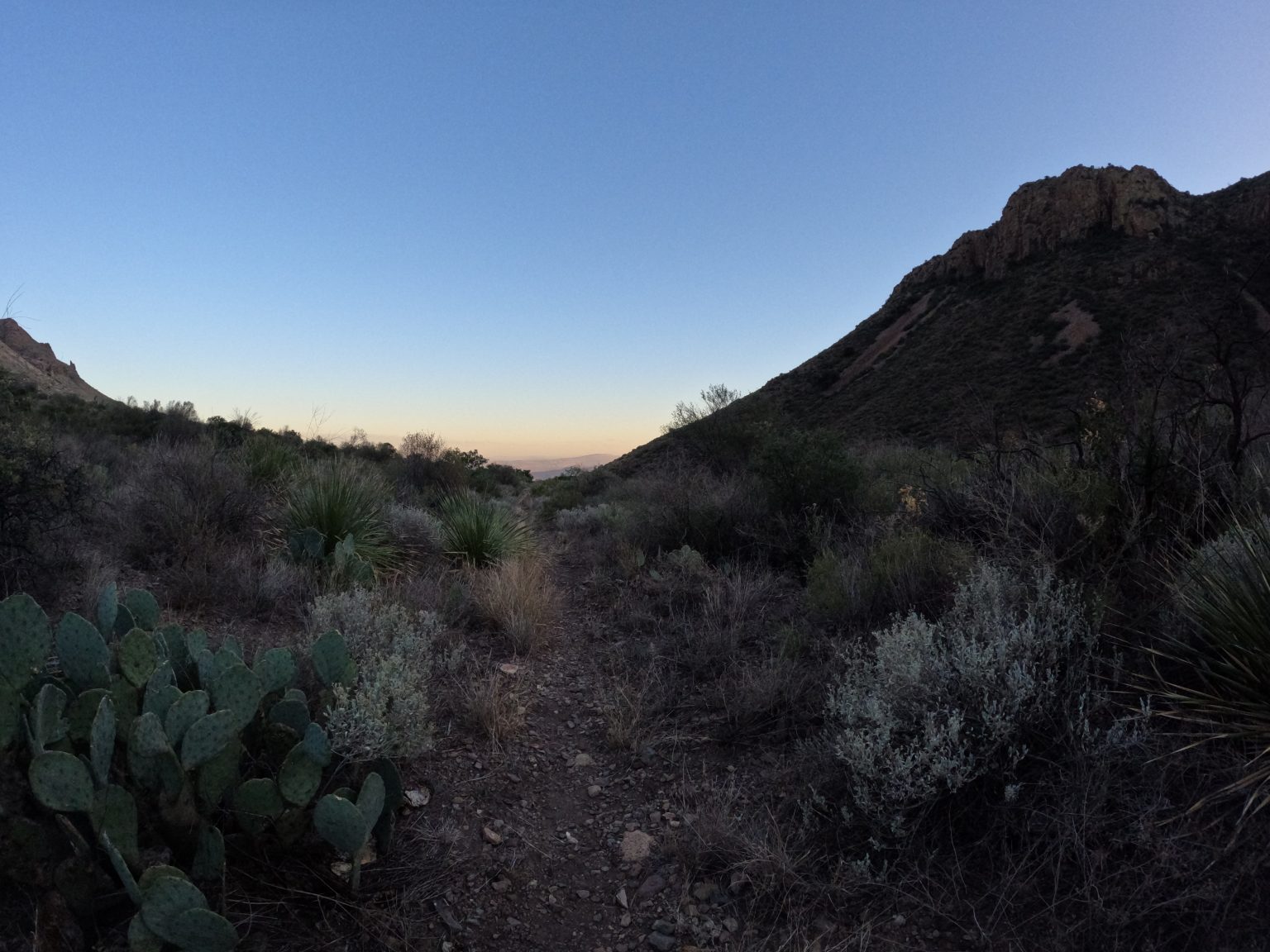 Juniper Canyon Trail: Remote and Rewarding Hiking in Big Bend - This ...